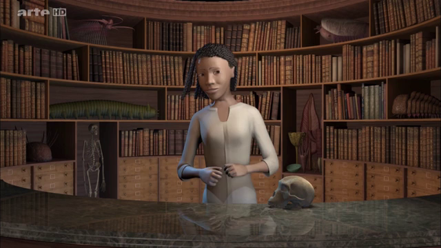 Pod - La Théorie De L'Évolution (Arte)