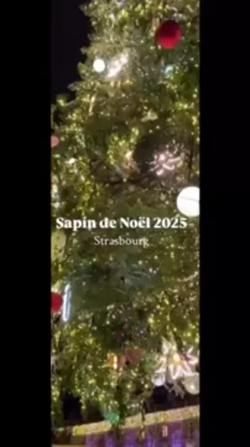Pod - Arboles De Navidad En Algunas Ciudades Franc…